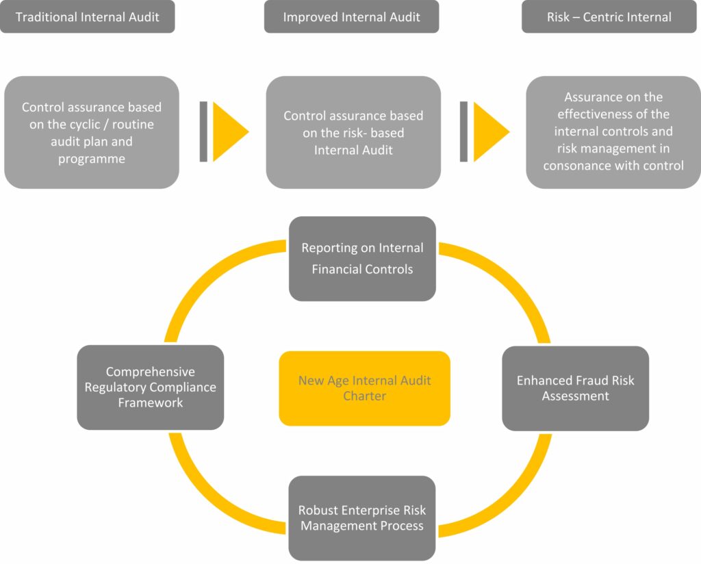 Internal Audit: The Paradigm Shift_ Author Rahul Nahata