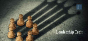 Leadership Shadow: Fading the dark into light-Insights Success