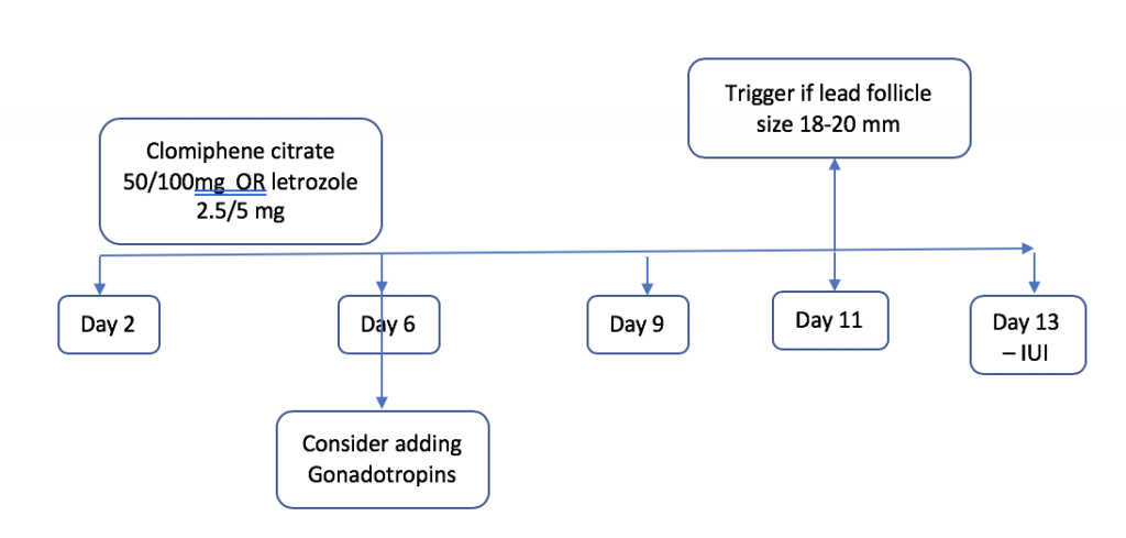 IUI – The Process, The Results And Its Counselling _Insights Success