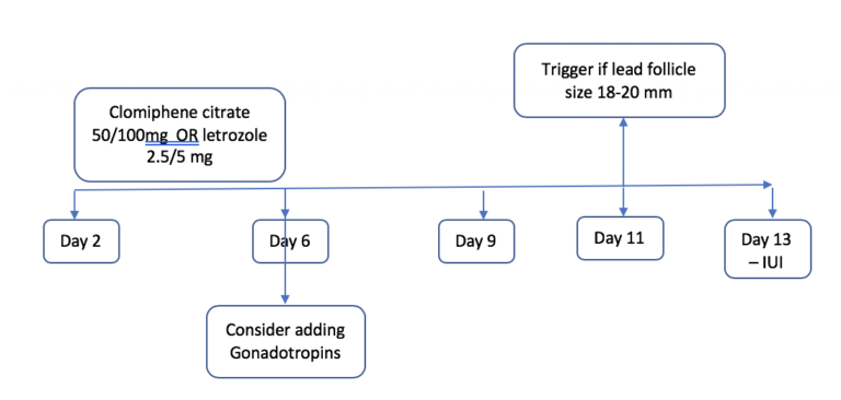 IUI – The Process, The Results And Its Counselling _Insights Success
