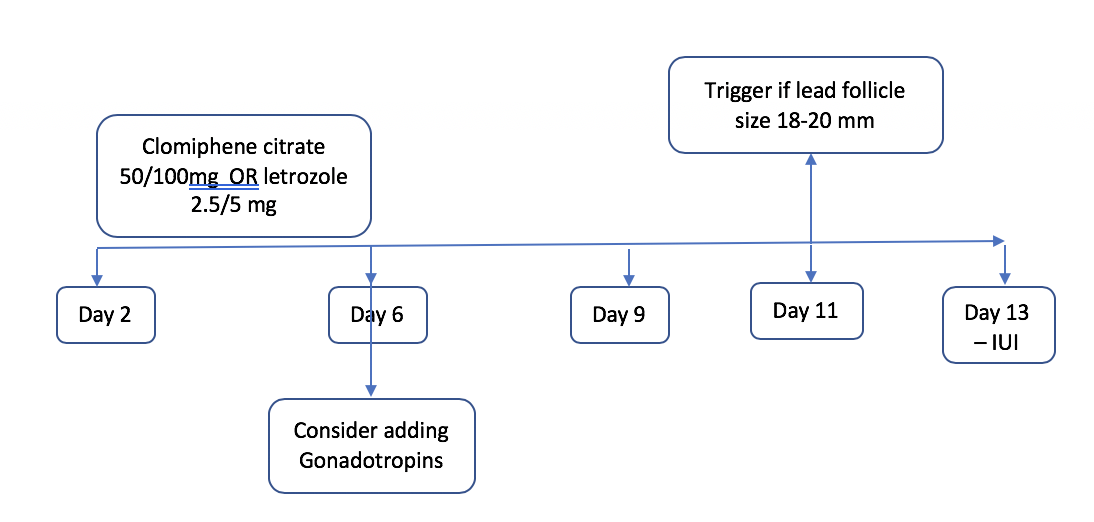 IUI – The Process, The Results And Its Counselling _Insights Success